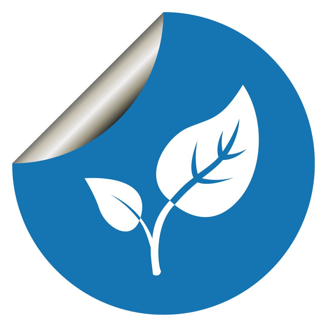 Interview with Clement Pappas — Surfside Iced Tea & Vodka CEO – RTD ...